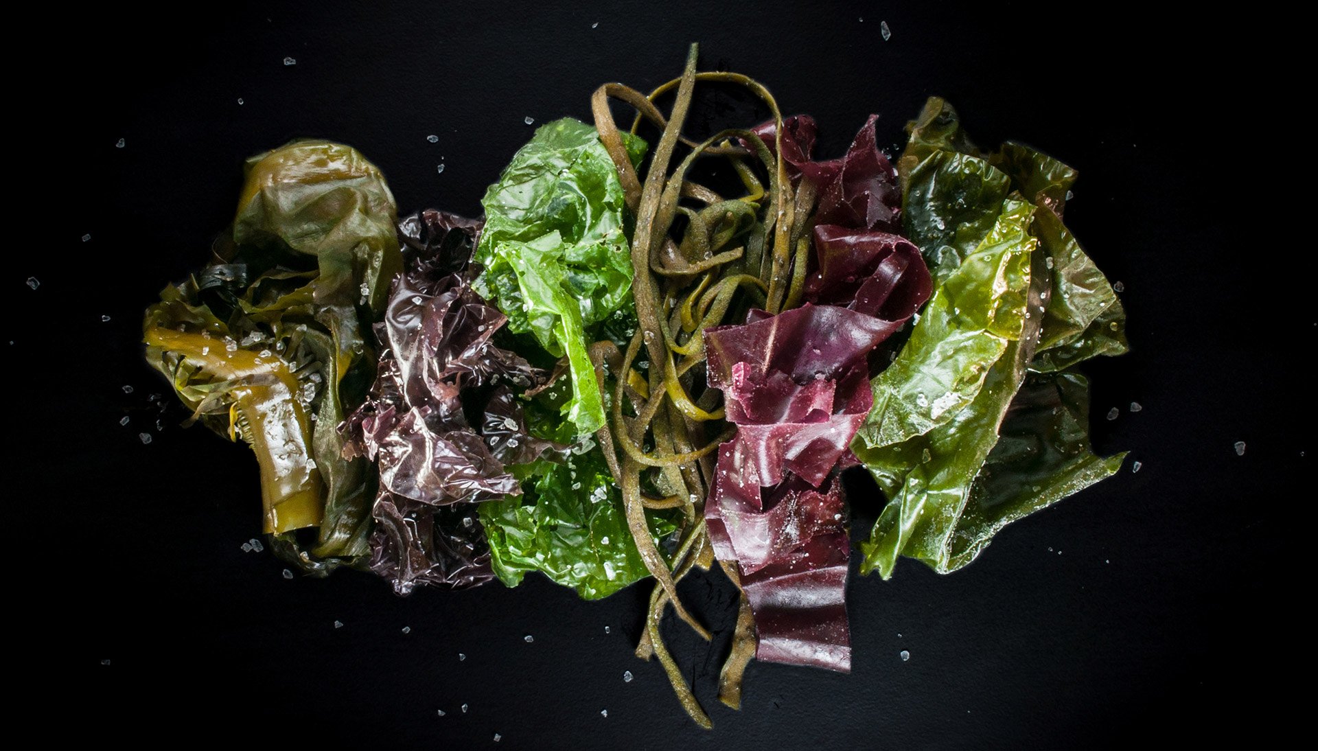 C'est quoi une algue ? 5 choses à savoir sur les algues alimentaires ...