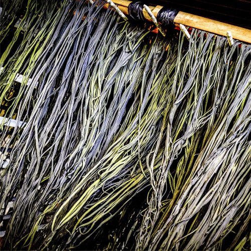 Comment utiliser les algues sèches en cuisine Réhydratation des algues ...