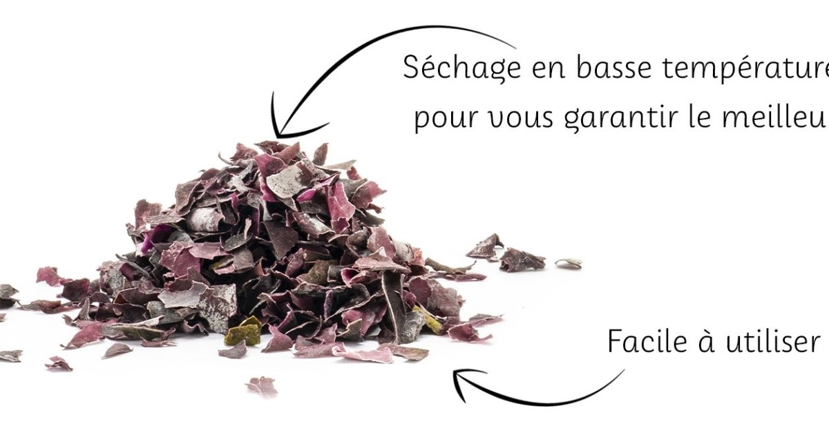 Algue sèche : Dulse - Produits et recettes d'algues alimentaires bio de ...