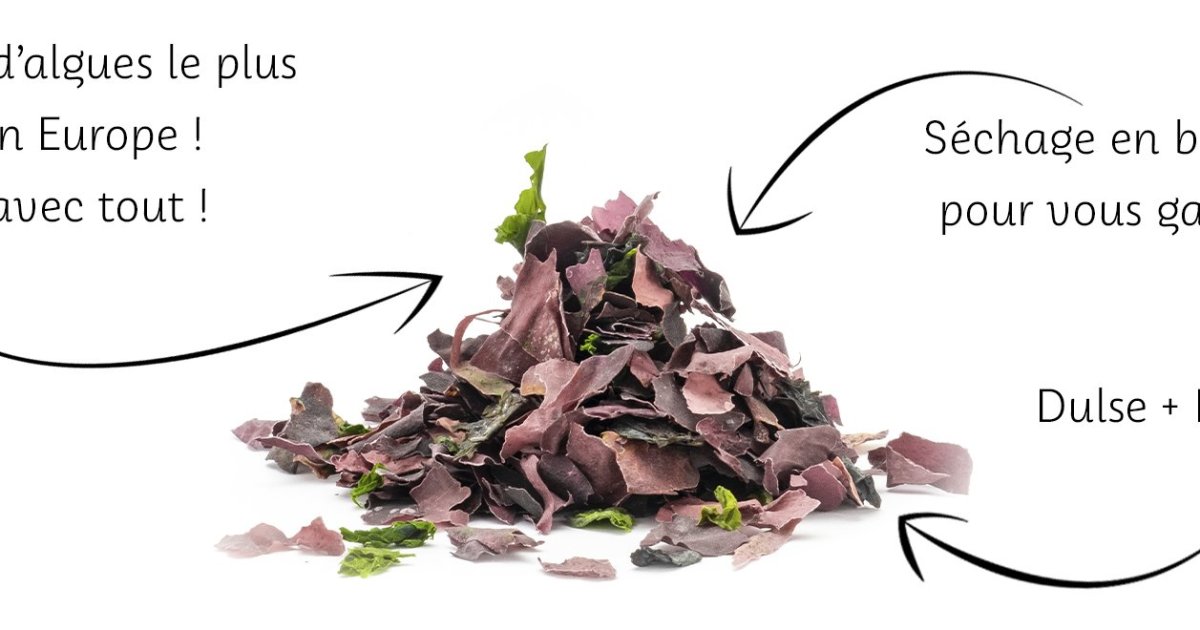Algue sèche : Salade Océane - Produits et recettes d'algues ...